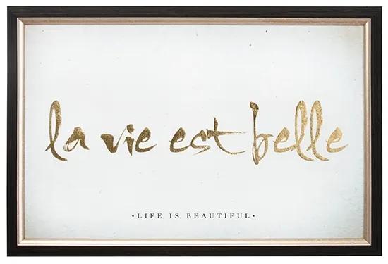 VÝPRODEJ - POSLEDNÍ 1 KUS Rámovaný obraz 101552, La Vie Est Belle Metallic Framed Art, Wall Art, Graham Brown