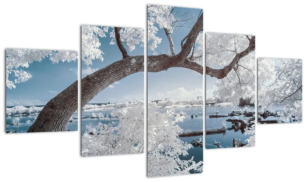 Obraz zasněženého stromu u vody (125x70 cm)