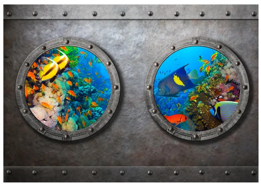 Fototapeta - Okno do podmořského světa 200x140 + zdarma lepidlo