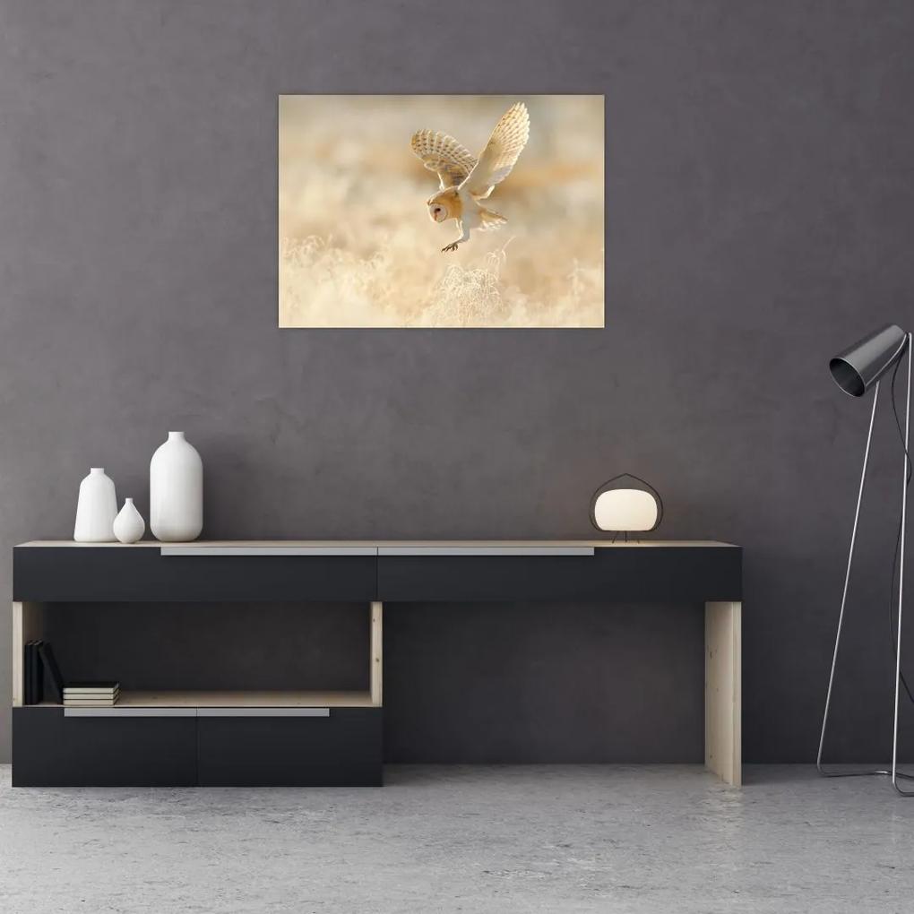 Skleněný obraz - Sova pálená (70x50 cm)