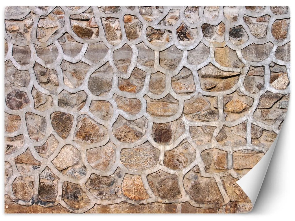 Gario Fototapeta Kamenná zeď Materiál: Vliesová, Rozměry: 200 x 140 cm