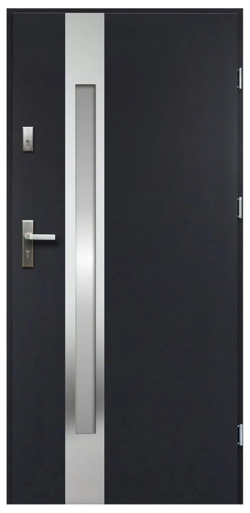 O.K. Doors® Vchodové dveře Hestia, 90 P, rozměr vč. zárubně: 1000 × 2070 mm, ocel, pravé, antracit, prosklené