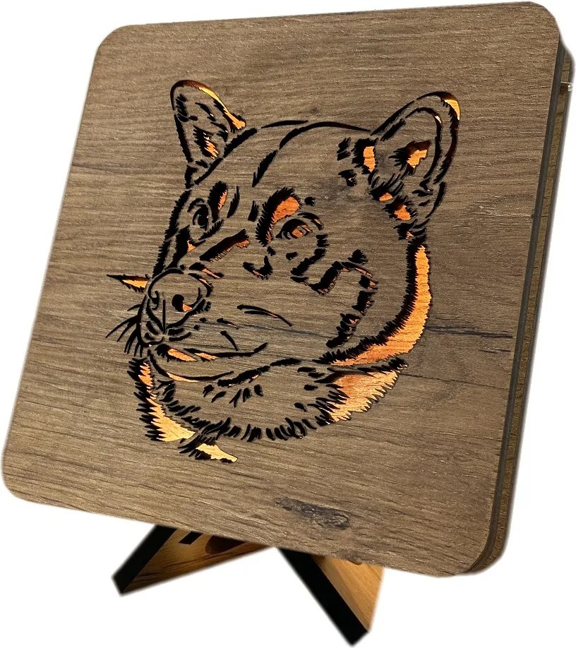 Li-Go "Akita Inu" lampa 19x19 cm provedení povrchu: dub