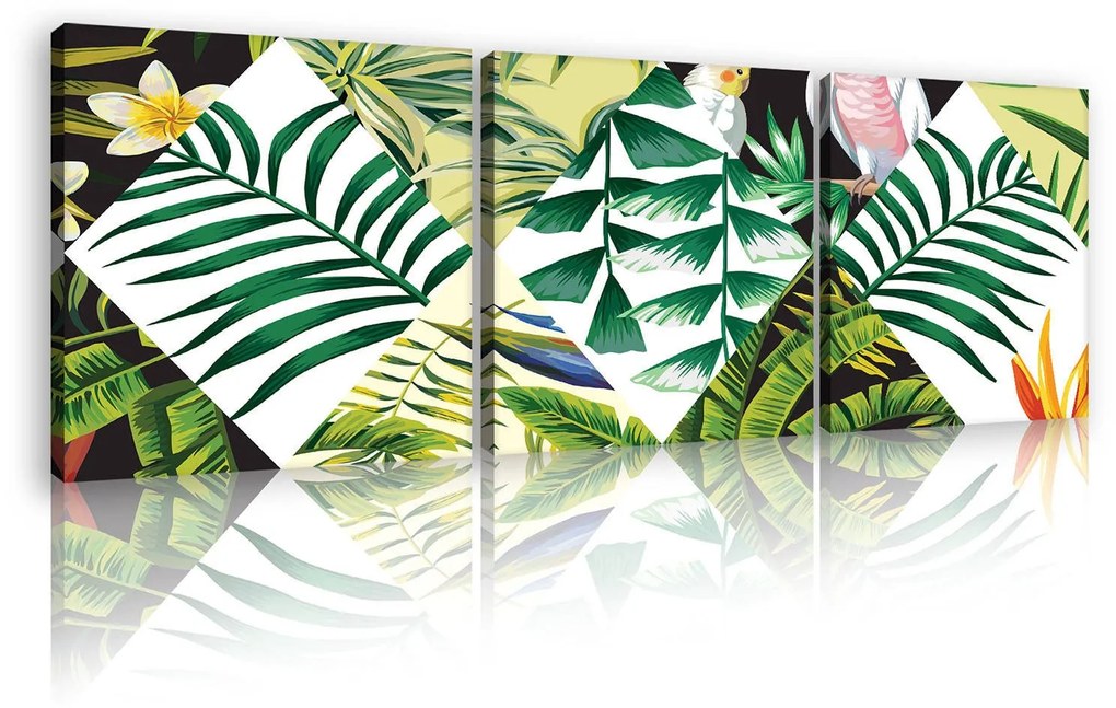 Postershop Obraz na plátně: Malovaná tropická flóra (2) - set 3ks 25x25cm