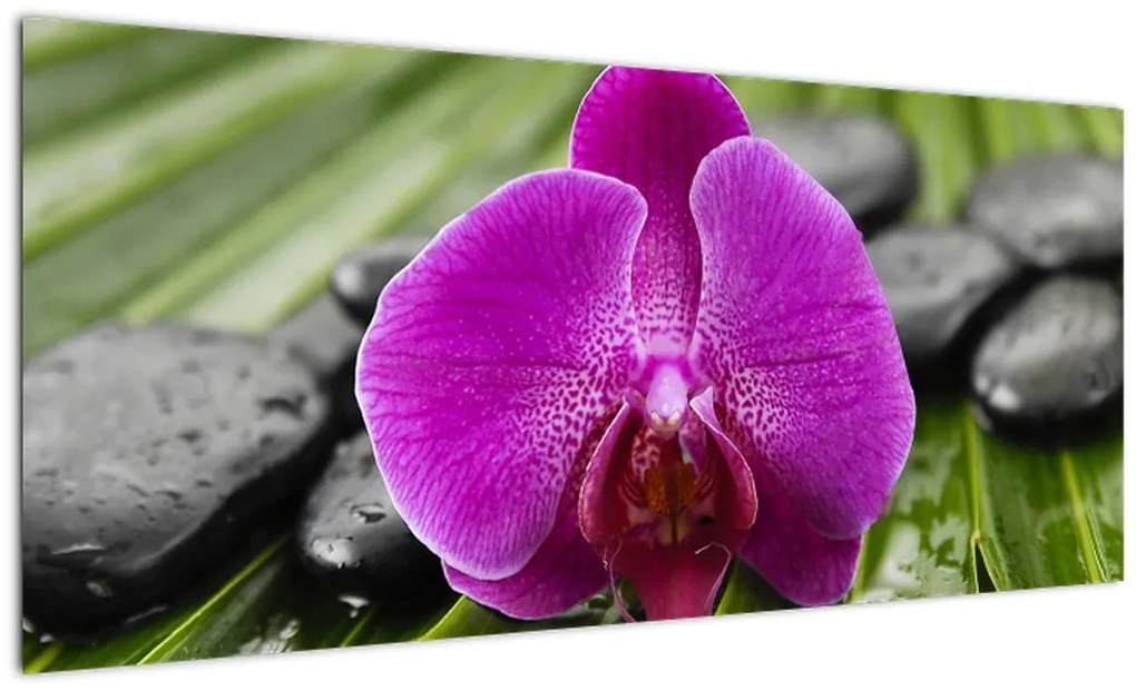 Orchidej - obraz (100x40cm)