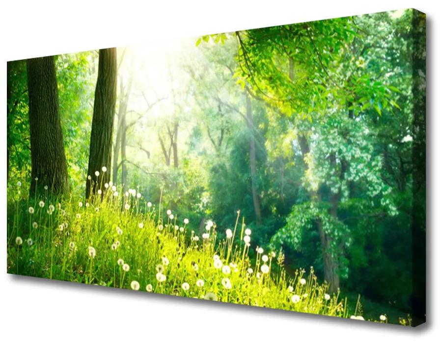 Obraz na plátně Louka Příroda Rostlina 125x50 cm