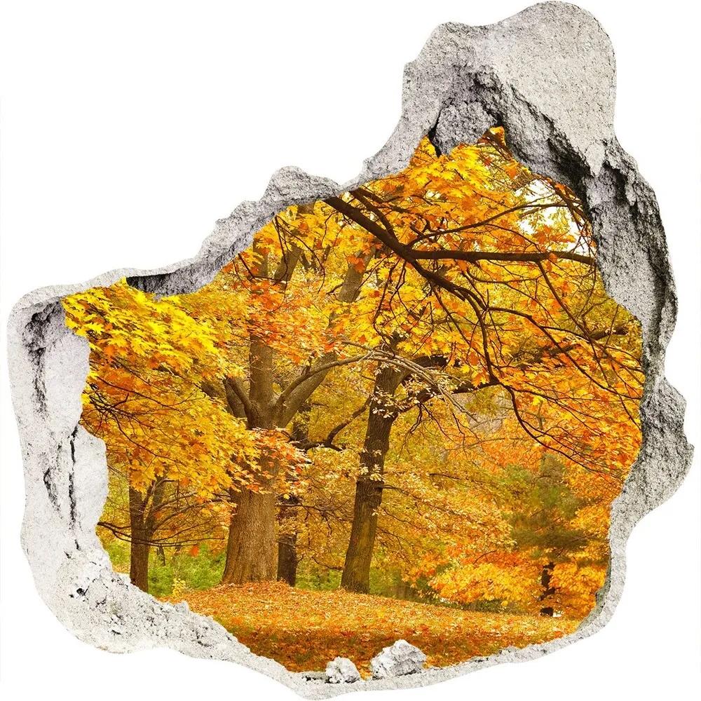 Wallmuralia Díra 3D ve zdi nálepka Podzim v parku 75x75 cm