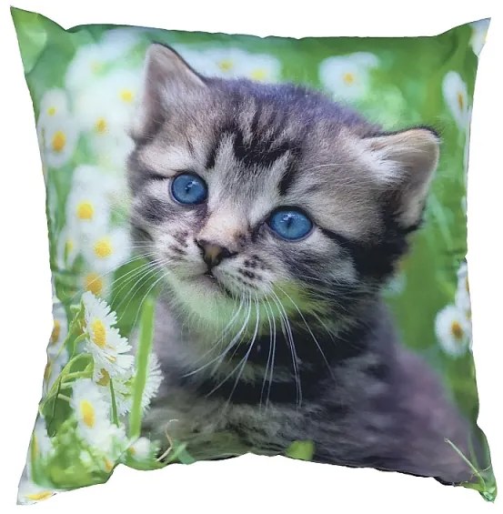 Dadka Fotopolštářek Kotě na louce 40x40 cm