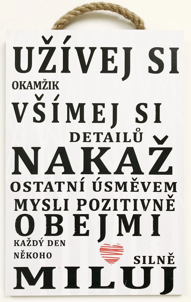 Dřevěný obraz "Užívej si" 20x30 cm tištěné na dřevo bez rámu