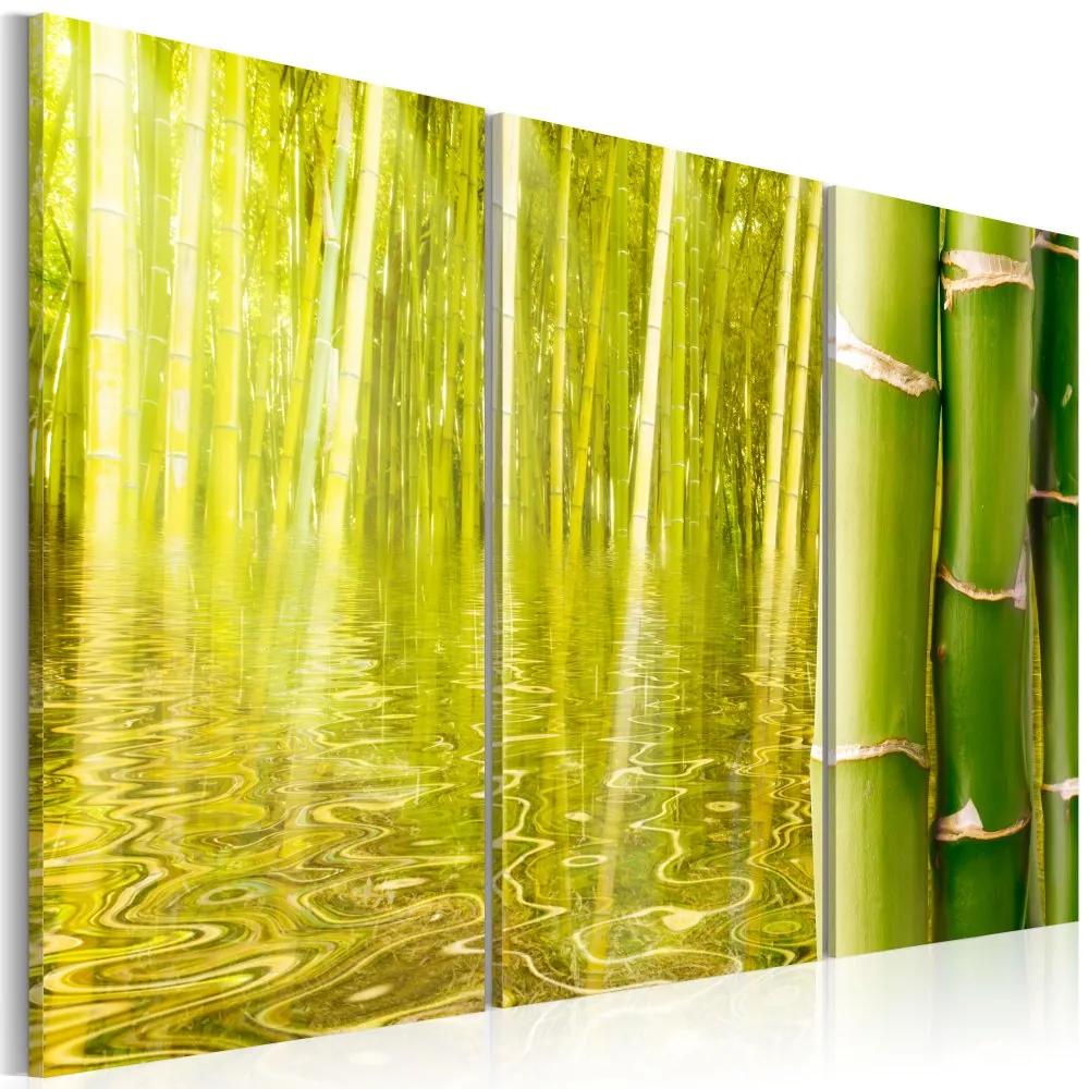 Obraz na plátně Bimago - Bambus ve vodě 60x40 cm