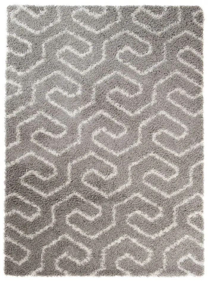 Kusový koberec Shaggy Jolana šedý 2, Velikosti 180x260cm