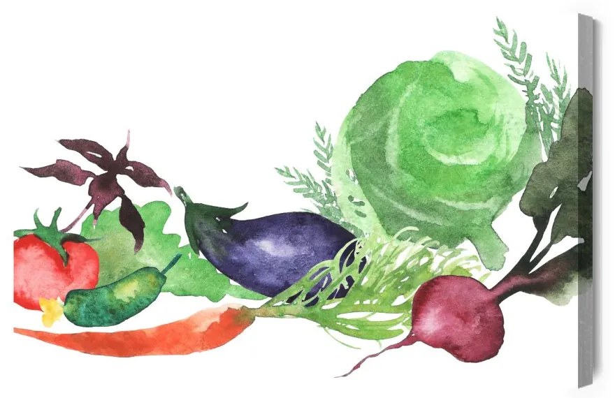 Obraz Čerstvá Zelenina Malovaná Akvarelem Nedostatek Nedostatek Přírodní plátno 30x20
