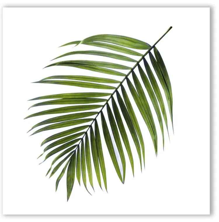 Obraz Styler Canvas Greenery Black Palm, 32 x 32 cm