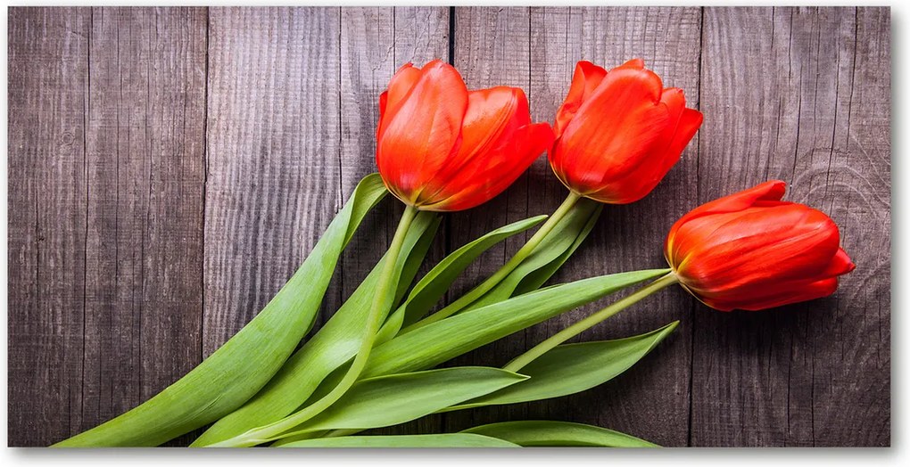 Foto obraz fotografie na skle Červené tulipány