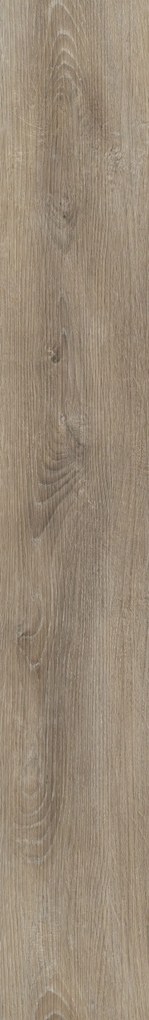 Oneflor Vinylová podlaha lepená ECO 30 071 Traditional Oak Natural Light  - dub - Lepená podlaha