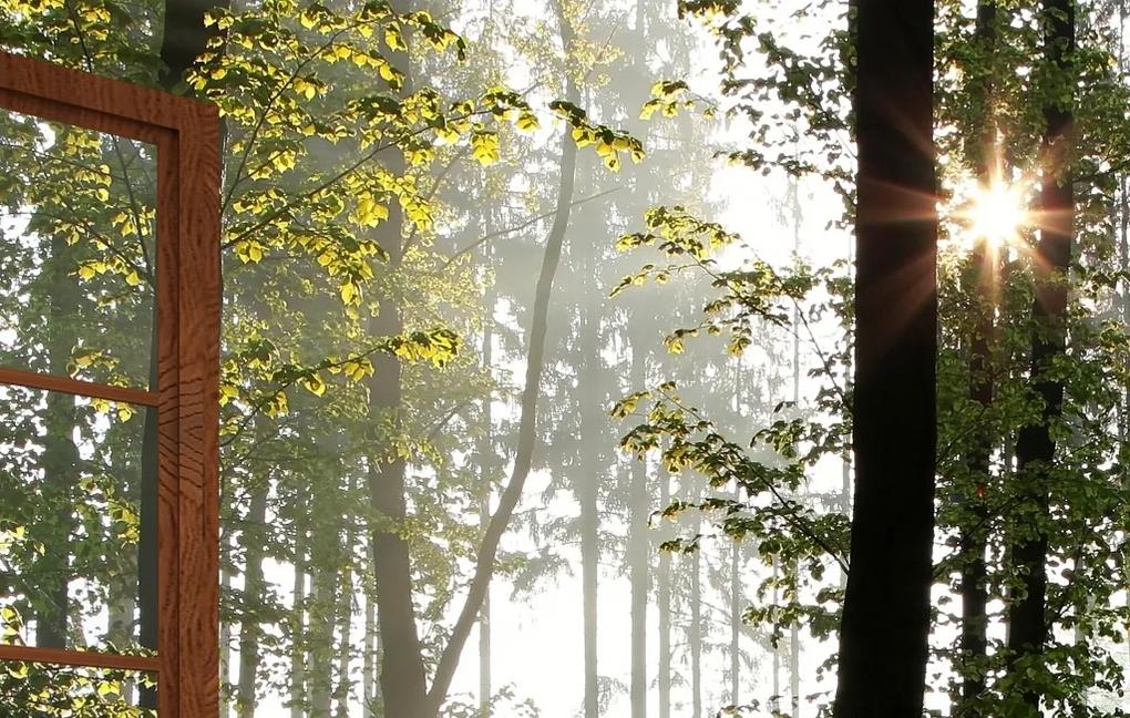 Malvis ® Okno v ranním lese Velikost: 120x80 cm