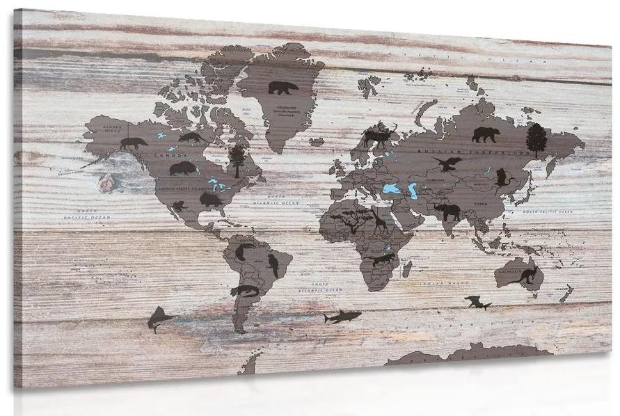 Obraz mapa na dřevěném podkladu - 120x80 cm