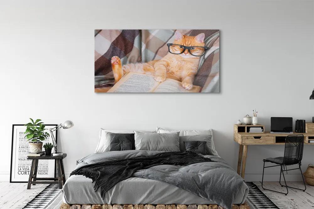 akrylový obraz Čtenář cat 140x70 cm