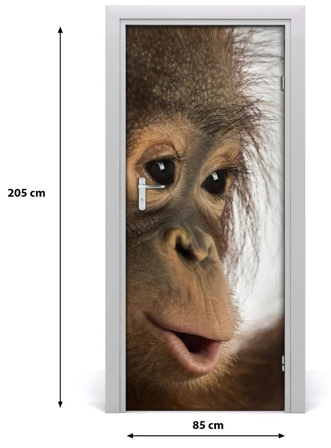 Samolepící fototapeta na dveře Mladý orangután 85x205 cm