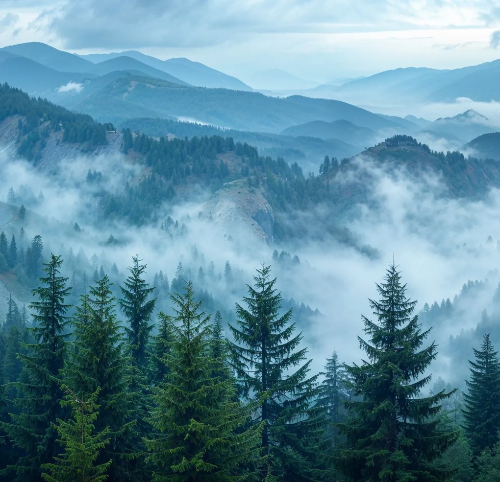 Obraz na plátně - Mlhavé hory za lesem FeelHappy.cz Velikost obrazu (šířka x výška): 90 x 30 cm