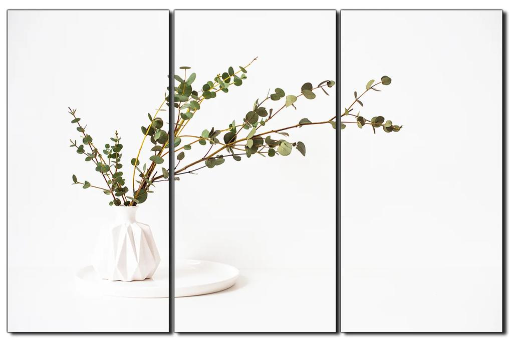 Obraz na plátně - Větev eukalyptu v bílé váze na bílém pozadí 1272B (120x80 cm)