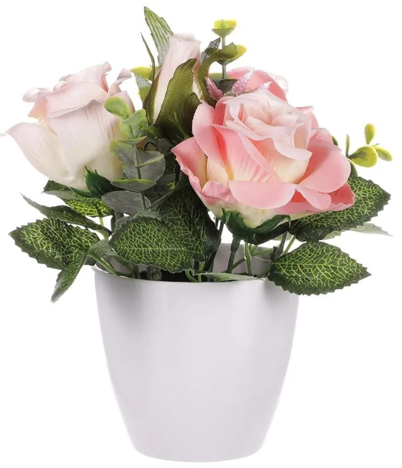 Růžičky v plastovém bílém obalu SG7335 Růžová