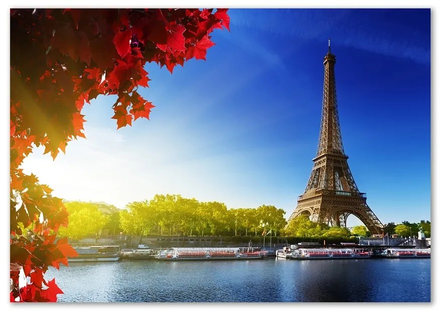 Wallmuralia Foto obraz akrylové sklo Eiffelova věž Paříž 100x70