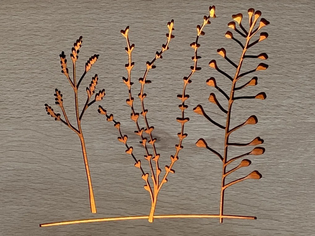 Li-Go "Kokoška" lampa 19x19cm provedení povrchu: dub světlý