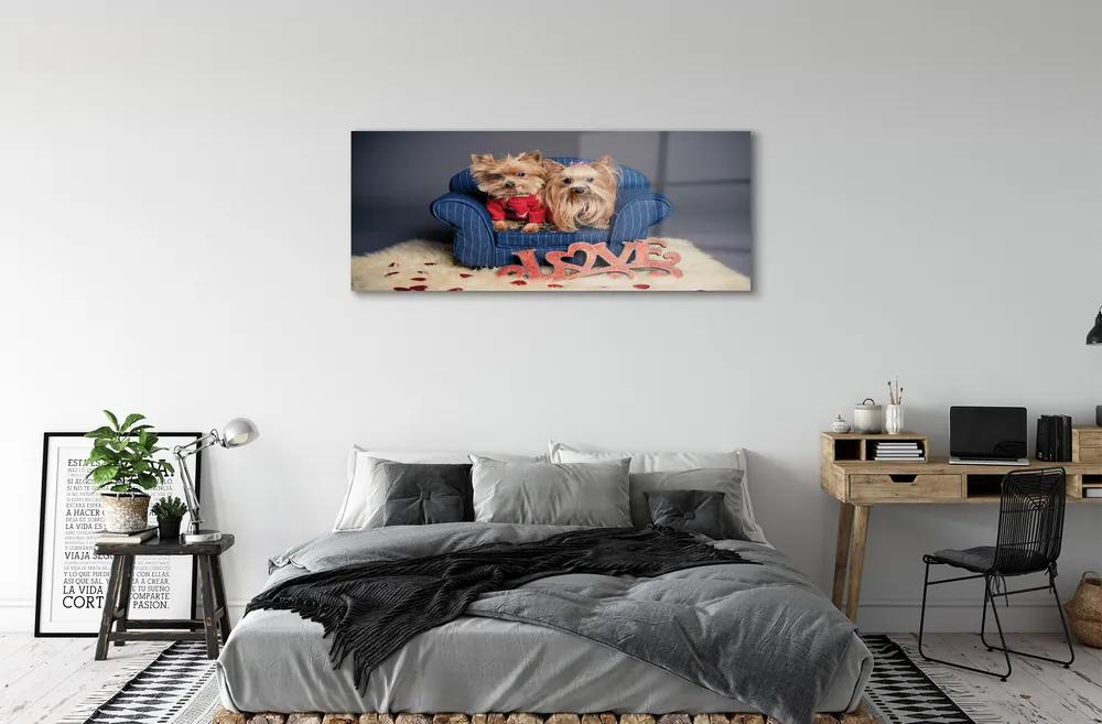 akrylový obraz yorkie 120x60 cm