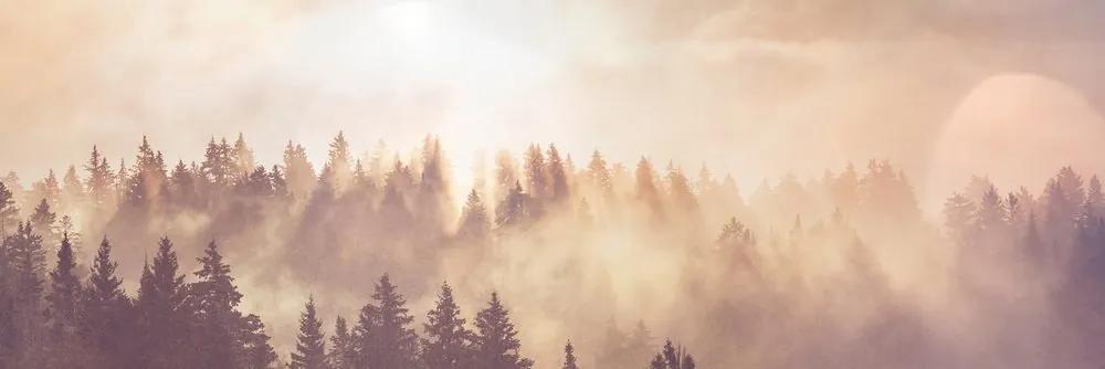 Obraz mlha nad lesem - 150x50 cm