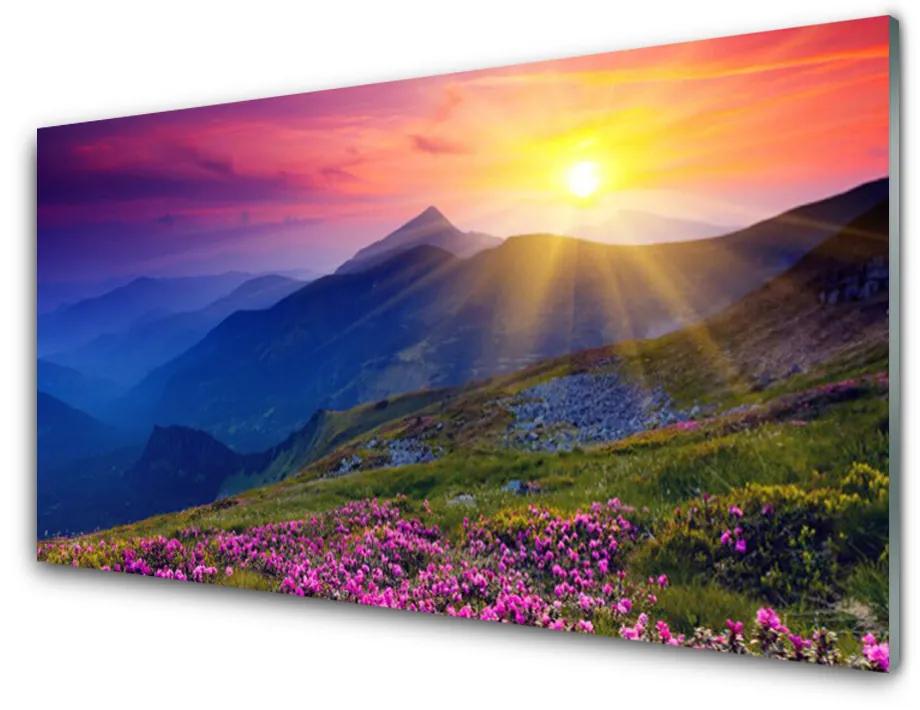 akrylový obraz Hory Květ Louka Krajina 120x60 cm