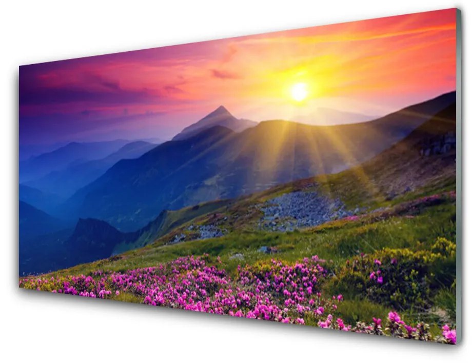 akrylový obraz Hory Květ Louka Krajina 125x50 cm