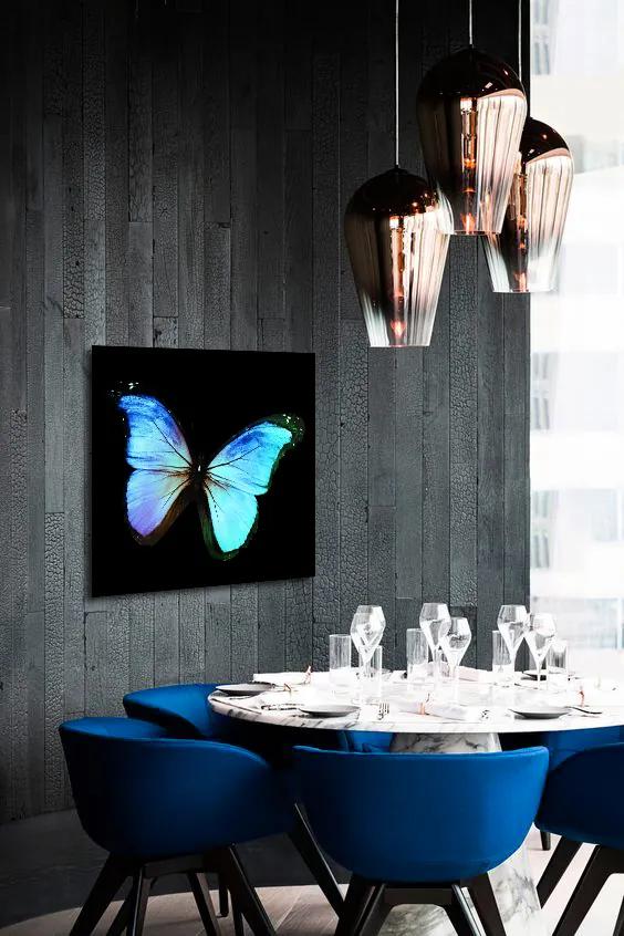 Obraz Modrý Motýl 3D na zrcadle Mirrora 18 - 50x50 cm