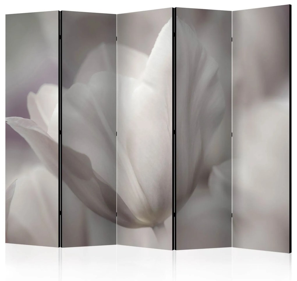 Paraván - Tulip - black and white photo II [Room Dividers] 225x172