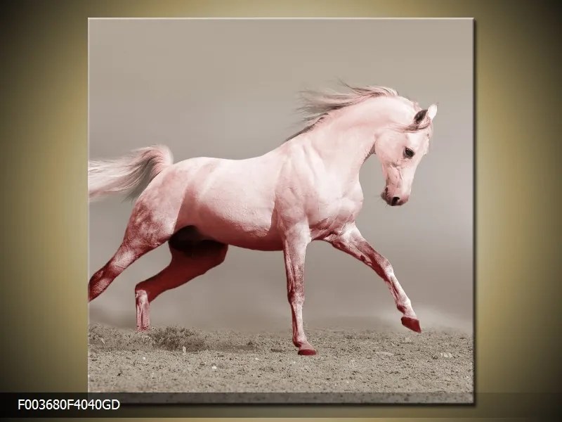Obraz bílého koně v pohybu  (), 40 dalších rozměrů