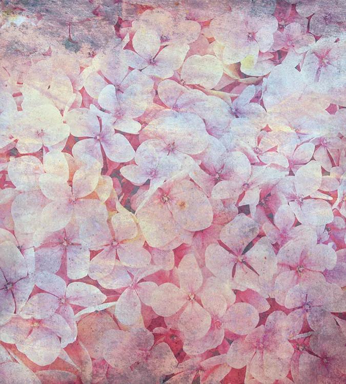 DIMEX | Vliesová fototapeta na zeď Abstrakt květy jabloně I. MS-3-0354 | 225 x 250 cm | růžová, vícebarevná