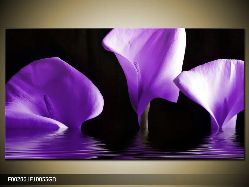 Obraz tří fialových květin na vodě  (), 40 dalších rozměrů