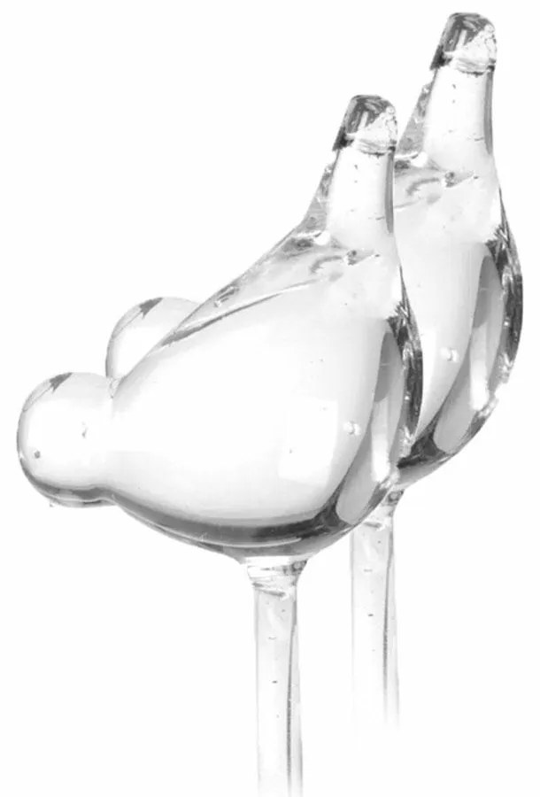 Zavlažovací koule Birds, 40x10 cm, sada 2ks, transparentní
