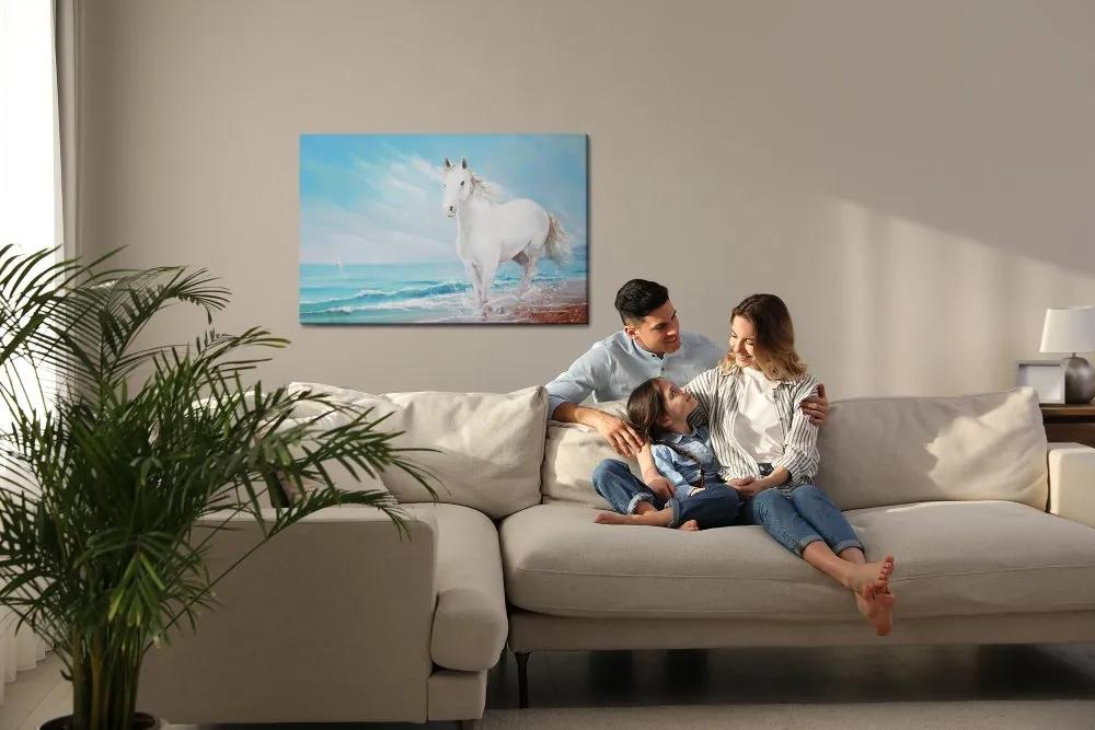 Obraz Bílý Kůň Na Pobřeží Nedostatek Nedostatek Přírodní plátno 40x30