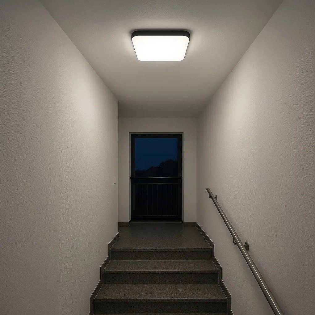 Stropní LED svítidlo Nemo, 1x LED 36w, 4000k, b