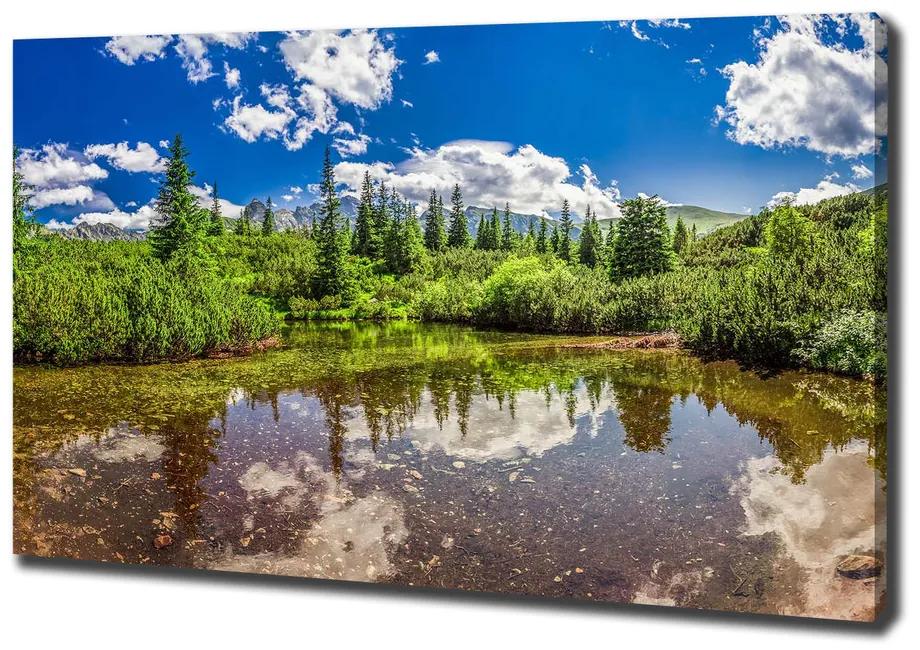 Wallmuralia Foto obraz na plátně do obýváku Jezerov  lese 100x70 cm