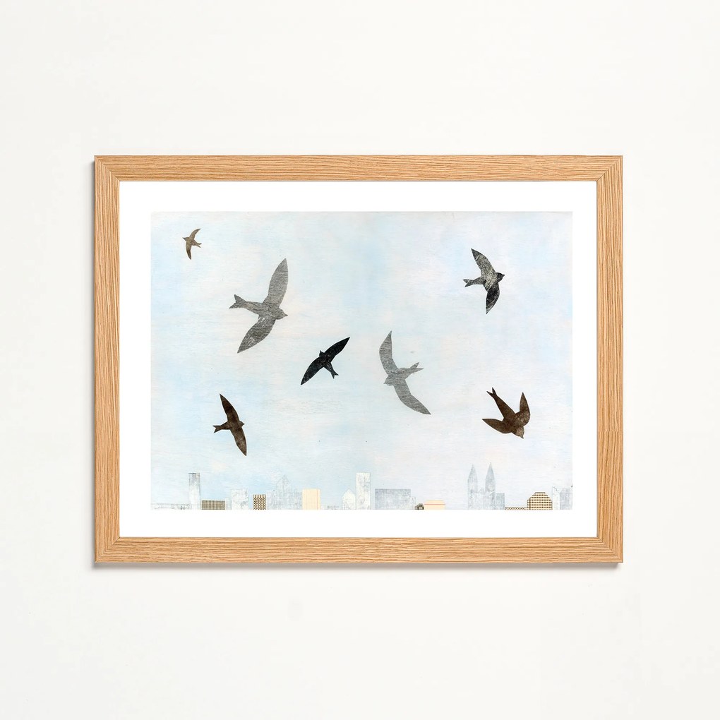 Andrea Tachezy | Rorýsi Rám: Černý, Velikost: 50 x 70 cm