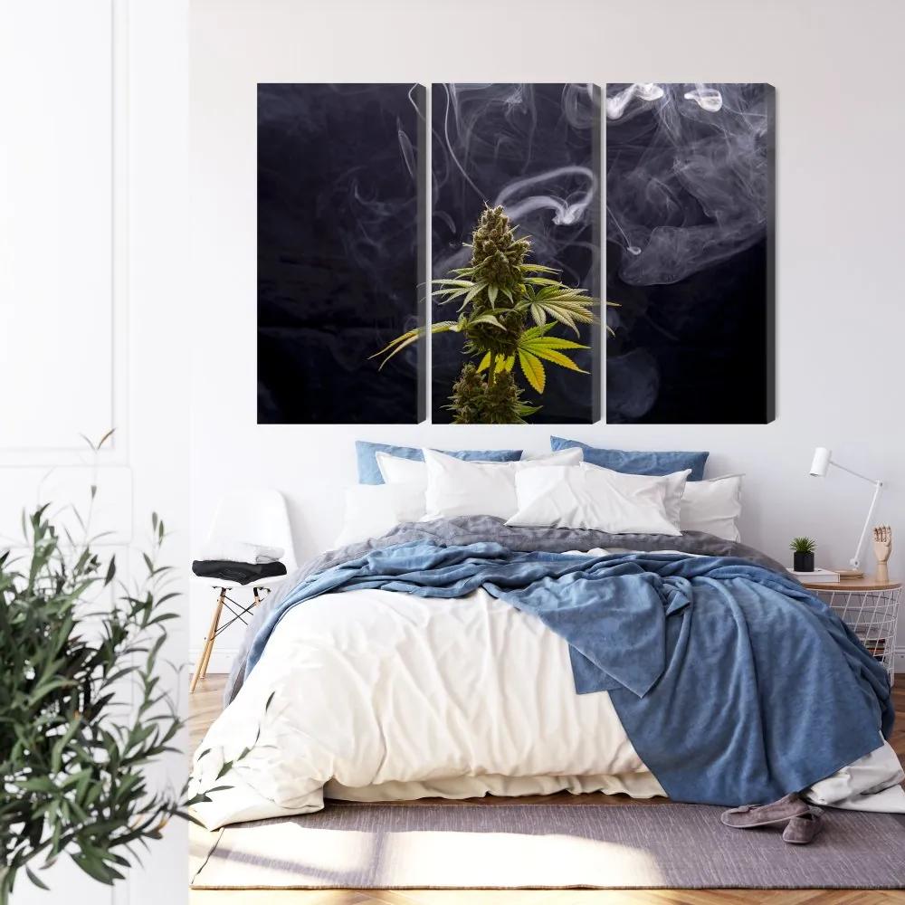 Vícedílný obraz Rostlina Konopí Na Zakouřeném Pozadí Nedostatek Nedostatek Plátno Canvas 120x80