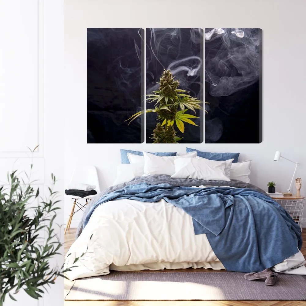 Vícedílný obraz Rostlina Konopí Na Zakouřeném Pozadí Nedostatek Nedostatek Přírodní plátno 180x120
