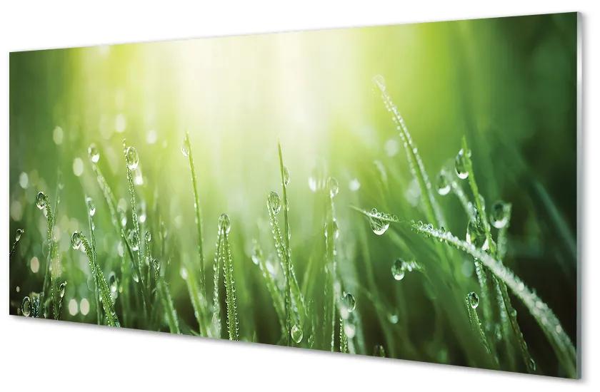 Obraz na skle Tráva slunce kapky 140x70 cm