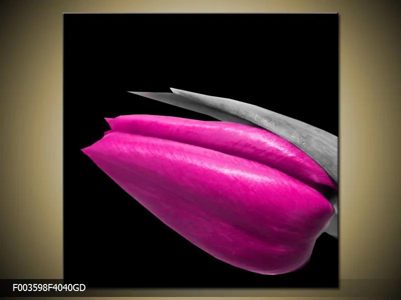 Obraz růžového tulipánu  (), 40 dalších rozměrů