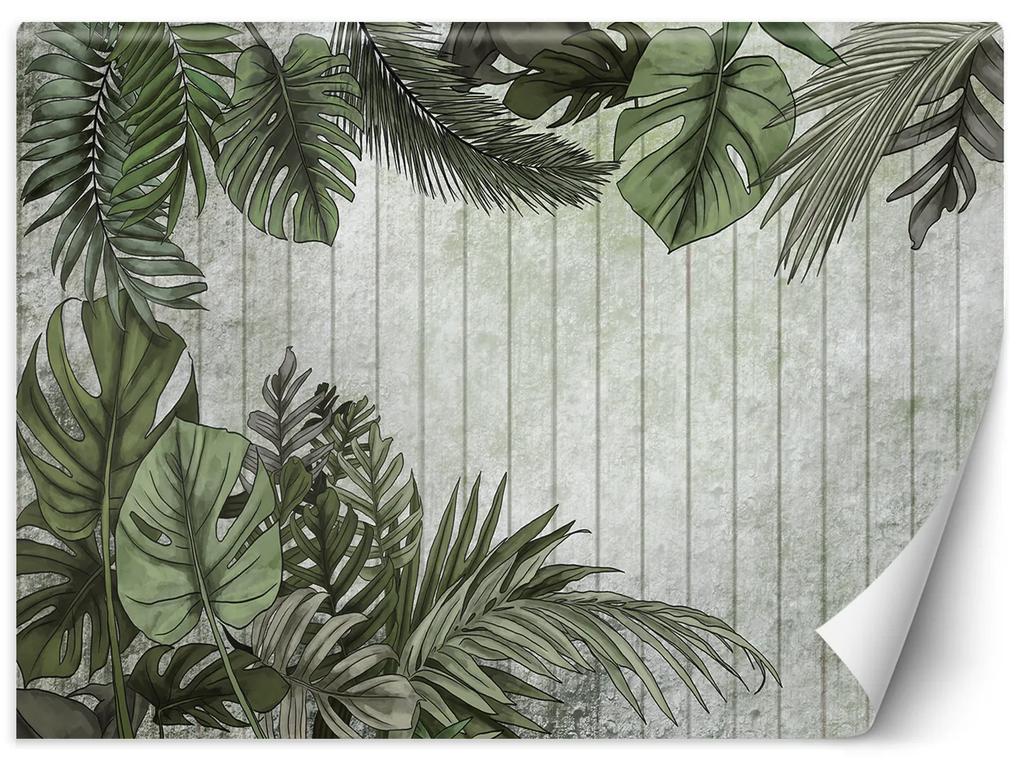 Gario Fototapeta Exotické listy na pozadí z desek Materiál: Vliesová, Rozměry: 200 x 140 cm