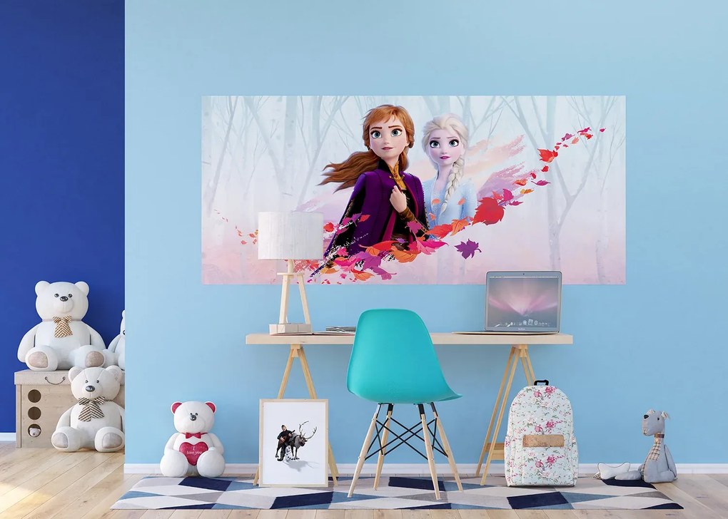 Dětská vliesová fototapeta na zed' Ledové království Sestry, Disney | 202 x 90 cm | DFTDNH 5388