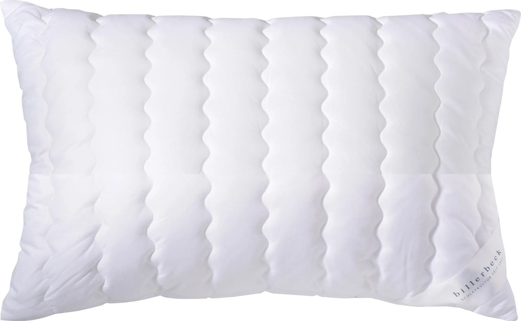 XXXLutz POLŠTÁŘ POD HLAVU, 40/80 cm Billerbeck - Polštáře pod hlavu - 003279053502