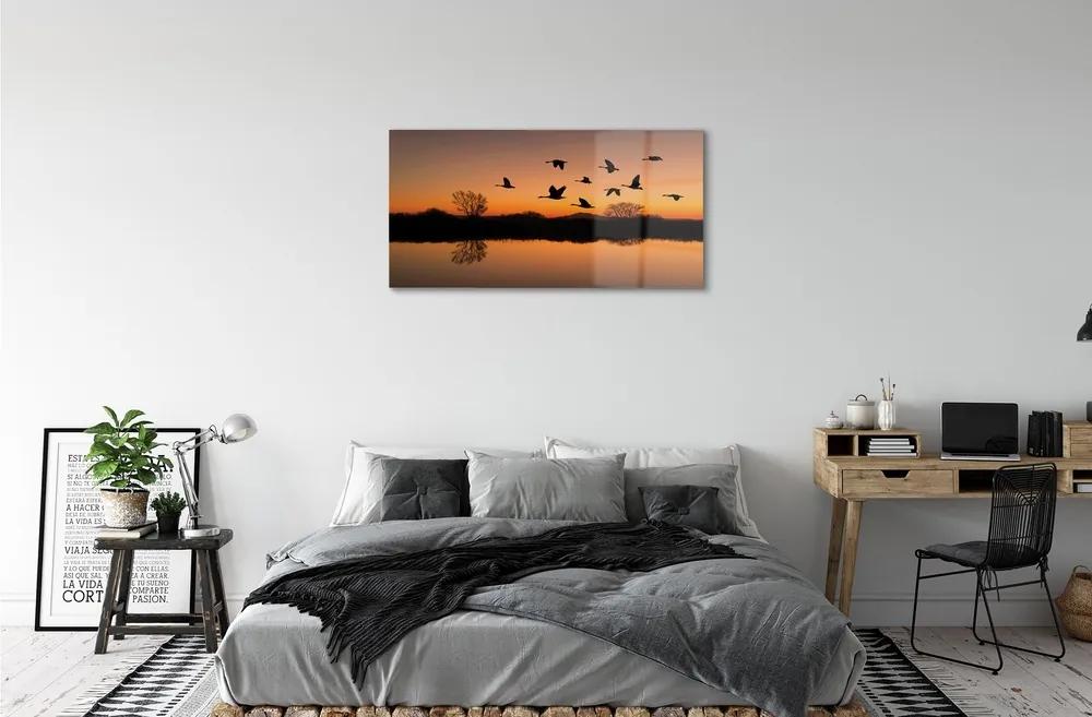 Obraz na skle Létající ptáky sunset 100x50 cm